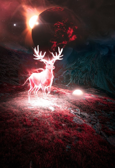 Free moon deer Images - Search Free Images on Everypixel