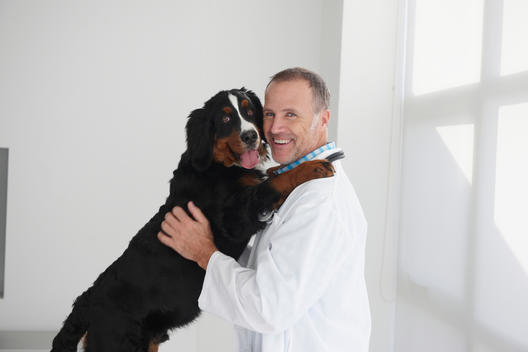 Caucasian veterinarian hugging dog in office - Stock Image - Everypixel