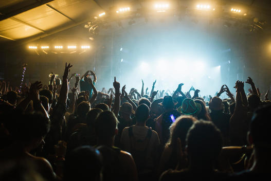 man stands on friends shoulders during a concert - Stock Image - Everypixel