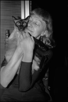 Woman Hugging Cat. St. Augustine, Florida, United States. - Stock Image ...