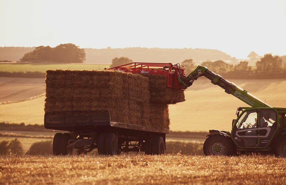 hay bale, haystack, summer - Stock Image - Everypixel