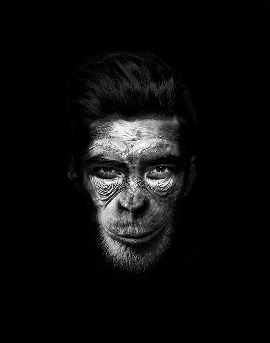 Fear Free Images | Everypixel
