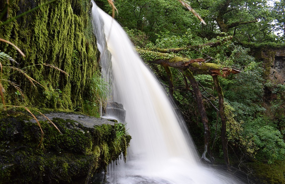 waterfall, forest, creek - Stock Image - Everypixel