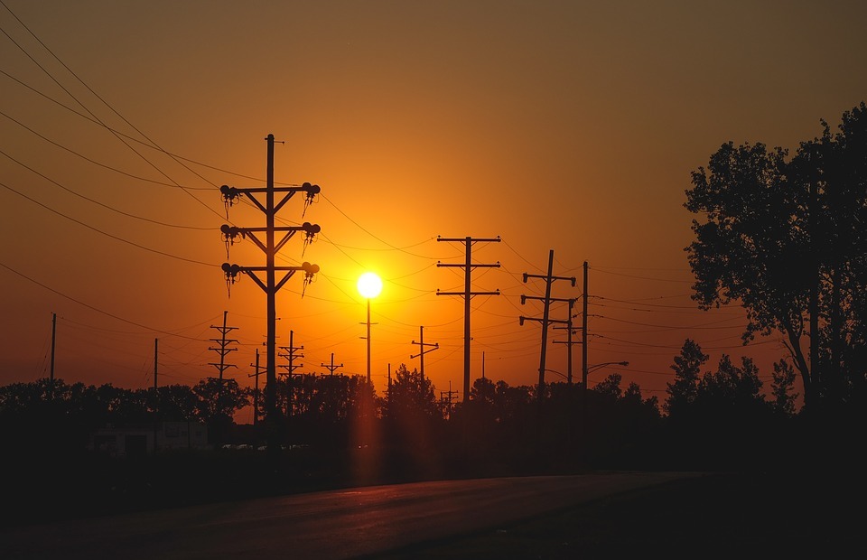 Sunset Trees Road