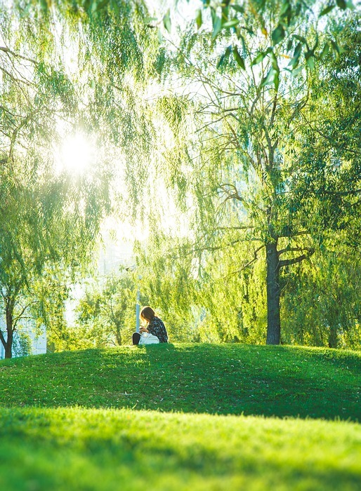 green, grass, nature - Stock Image - Everypixel