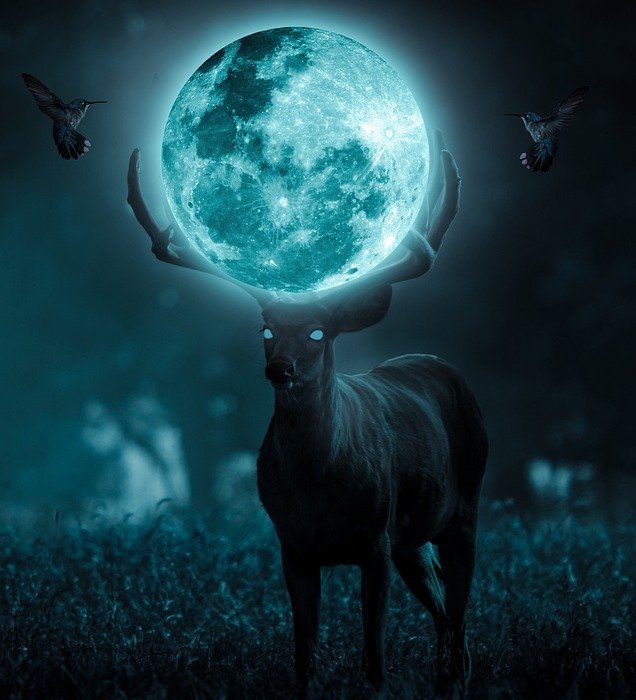 Free moon deer Images - Search Free Images on Everypixel