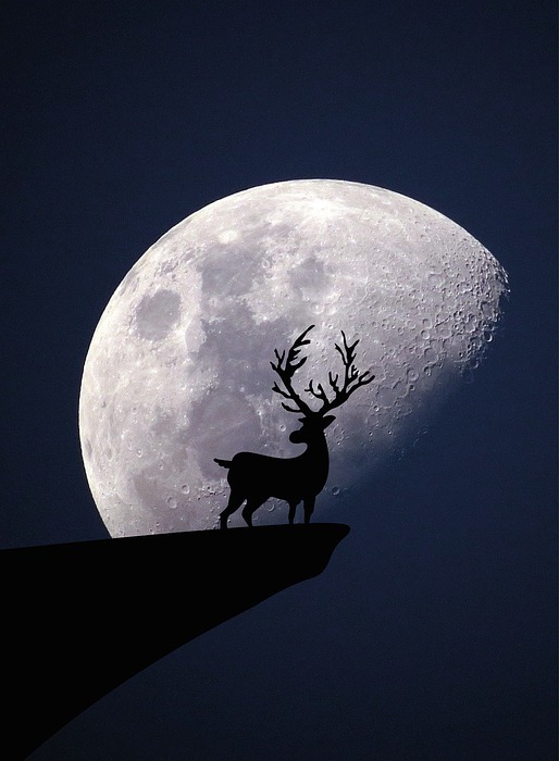 Free moon deer Images - Search Free Images on Everypixel