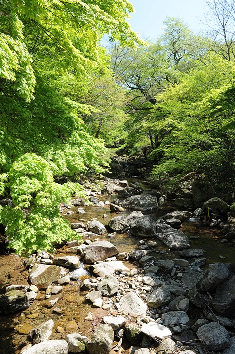 valley, spring, green - Stock Image - Everypixel